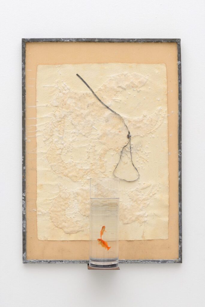 ArtVerona presenta Visiting Curator | Ce ne parla Maria Chiara Valacchi ...